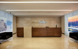 Metlife İstanbul Merkez Ofisi - Altensis